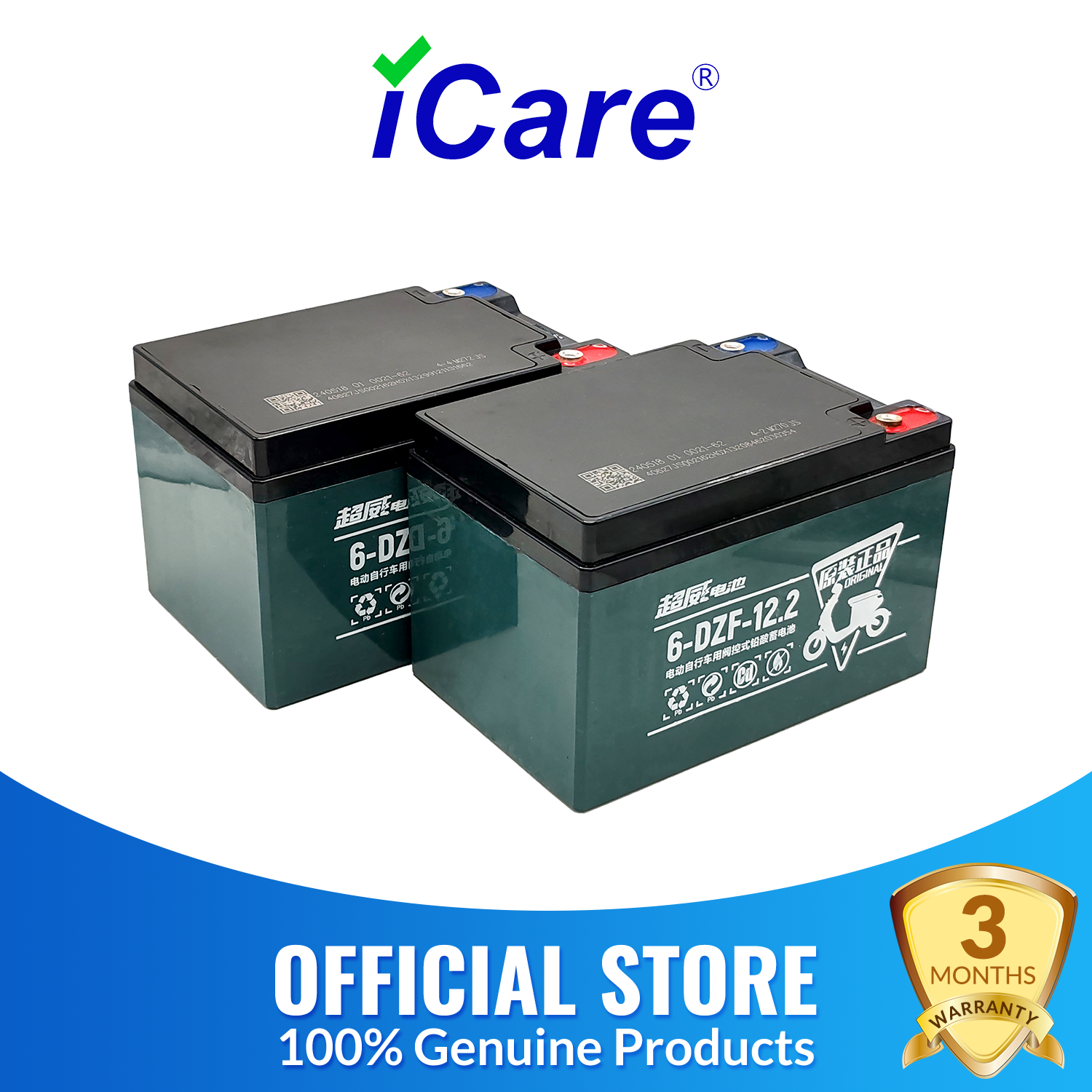 iCare Chilwee Wheelchair Lead Acid Battery Compatible with E310 & E510 ...